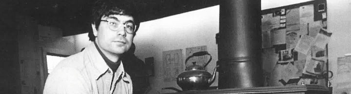 PP130 Pellet Stove by PelPro | Forge & Flame