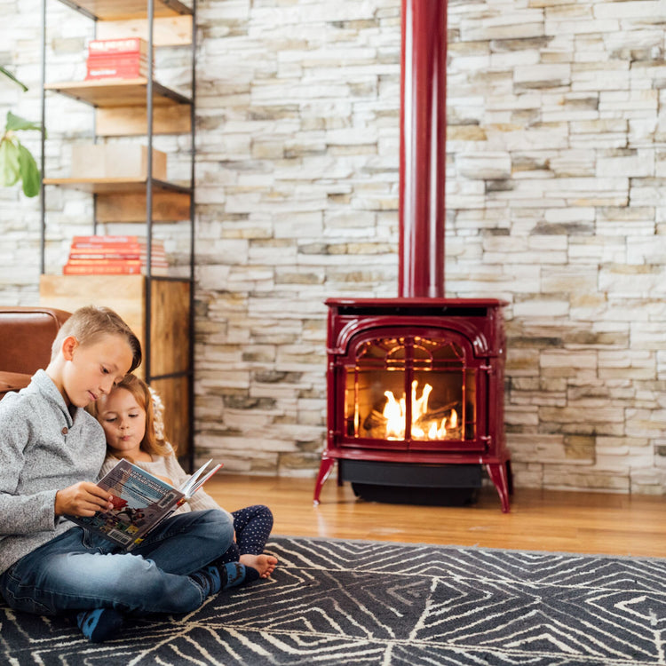 PelPro PP70 Pellet Stove | Forge & Flame